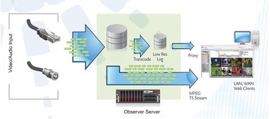 Volicon Observer Overview | Volicon 7.1 User Guide | SnapStream